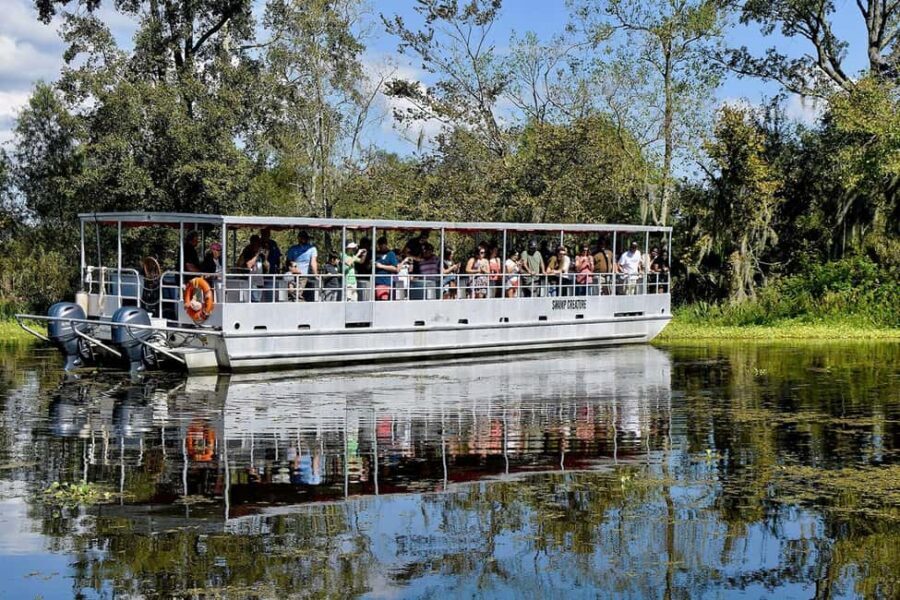 Alligator Swamp Tour by Gray Line New Orleans - What to Expect: Breaking Down the Itinerary