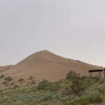Almaty: Altyn-Emel National Park Day Trip with Guide - Key Points