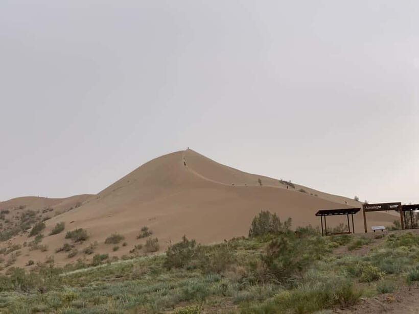 Almaty: Altyn-Emel National Park Day Trip with Guide - Key Points