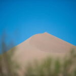 Almaty: Altyn Emel National Park Two-Day Trip - Key Points