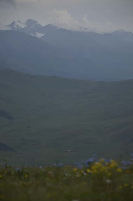 Almaty: Assy Plateau Stargazing Tour with Dinner & Hookah - Who Should Consider This Tour?