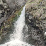 Almaty: Falconry show and Big Almaty Gorge - Whats Included and What’s Not