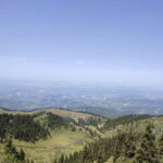 Almaty: Hiking to the High Mountain Pasture Kok Zhailau - Key Points