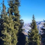 Almaty: Kok Zhailau Mountain and Batareika Waterfall Hike - The Value and Who Should Consider This Tour