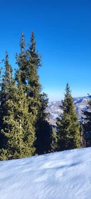 Almaty: Kok Zhailau Mountain and Batareika Waterfall Hike - The Value and Who Should Consider This Tour