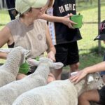 Alpaca Feeding with Wildlife and Nature Park Visit Private Tour - What Travelers Say