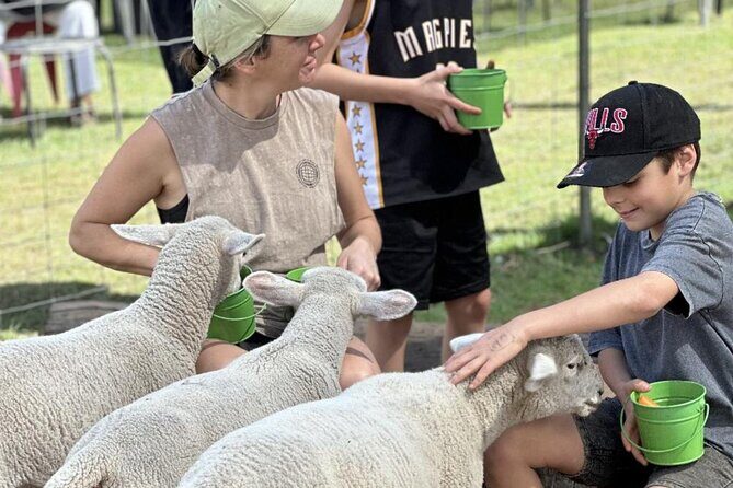 Alpaca Feeding with Wildlife and Nature Park Visit Private Tour - What Travelers Say