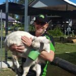 Alpaca Feeding with Wildlife & Nature Park VIP Private Tour - FAQ