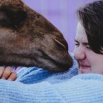 Alpaca Meet and Greet Experience in Peterborough - Practical Details for Visitors