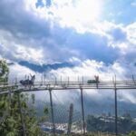 Alpine Coaster Ban Mong Experience in Sapa - Vietnam - Overall Value and Experience