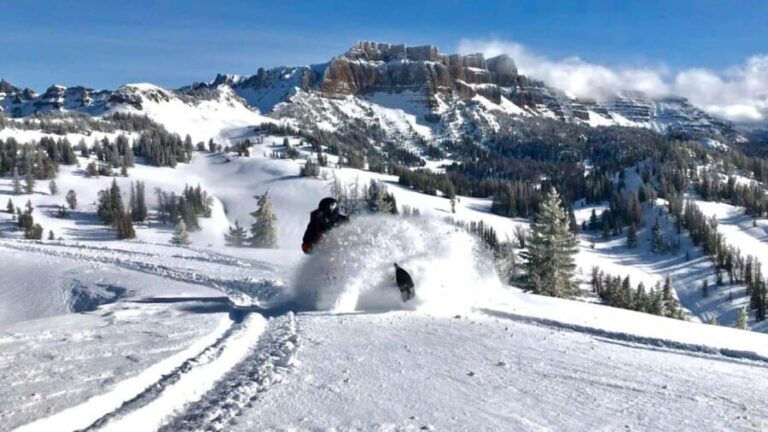Alpine: Snowmobile Rental with Gear and Trailer - What You Can Expect on the Trail