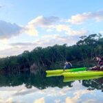 Amami Oshima Mangrove Kayaking, Waterfall and Cape Walking Tour - An In-Depth Look at the Tour Experience