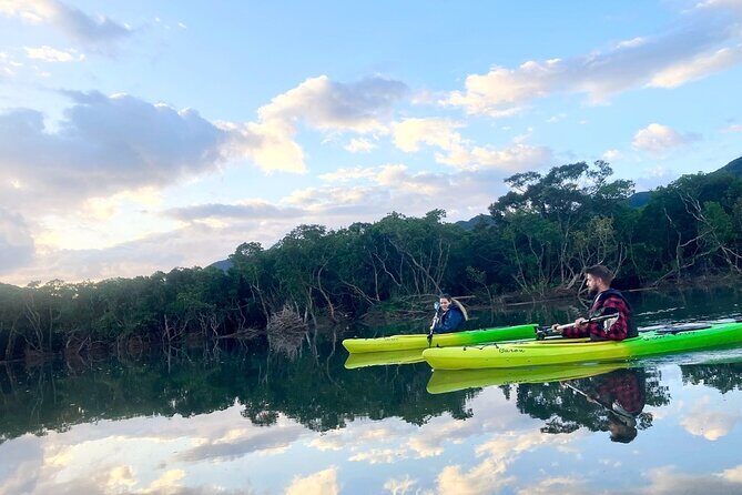 Amami Oshima Mangrove Kayaking, Waterfall and Cape Walking Tour - An In-Depth Look at the Tour Experience