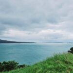 Amazing Auckland City Half Day Guided Tour - Thorough Breakdown of the Itinerary