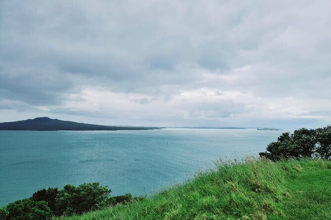 Amazing Auckland City Half Day Guided Tour - Thorough Breakdown of the Itinerary