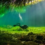 Amazing beginner dive in Tulum cenote (or refresher dive) - Itinerary breakdown and what to expect