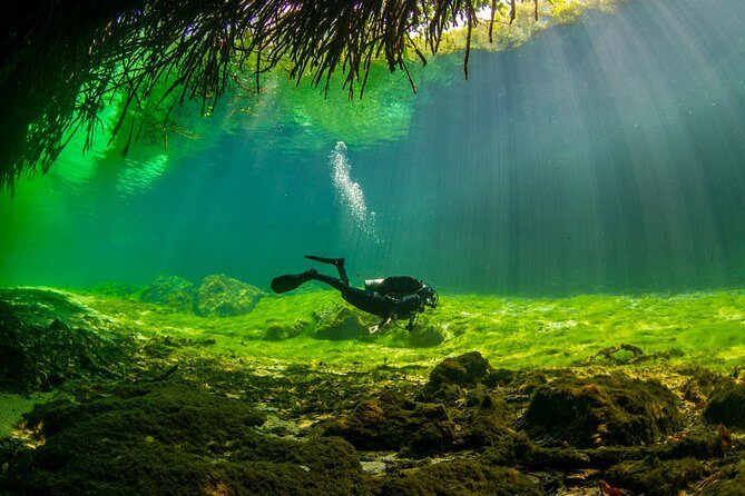 Amazing beginner dive in Tulum cenote (or refresher dive) - Itinerary breakdown and what to expect