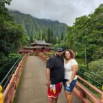 Amazing Circle Island Tour - What to Expect from the Itinerary