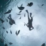 Amazing Clear Boat Adventure and Unlimited Beach Break with Lunch - Practicalities & What You Should Know
