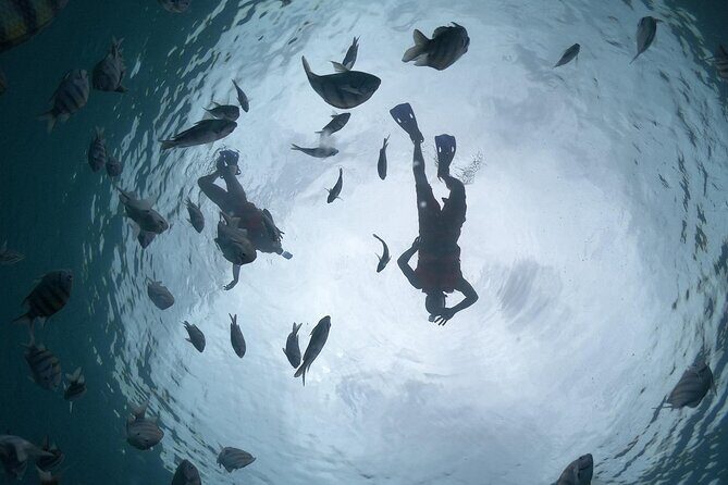 Amazing Clear Boat Adventure and Unlimited Beach Break with Lunch - Practicalities & What You Should Know