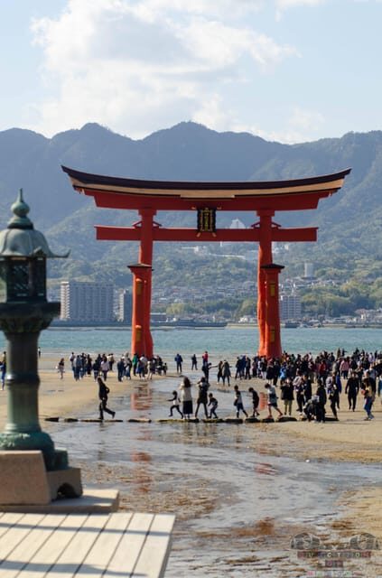 Amazing Hiroshima: Private City Tour with a Local Guide - Authentic Experiences Shaping Your Visit