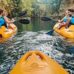 Amazing Mayan Tour Xenotes from Cancun - How Does It Value Compare?