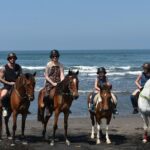Amazing Private Tour: Horse riding-Kintamani volcano-Tegalalang-Tirta empul - The Itinerary Breakdown: What You Can Expect