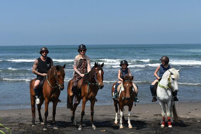 Amazing Private Tour: Horse riding-Kintamani volcano-Tegalalang-Tirta empul - The Itinerary Breakdown: What You Can Expect
