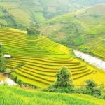 Amazing Sapa Hiking & Sightseeing - Who Should Consider This Tour?