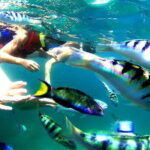 Amazing Snorkeling at Blue Lagoon - The Itinerary in Detail