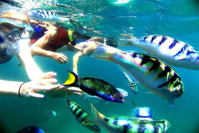 Amazing Snorkeling at Blue Lagoon - The Itinerary in Detail