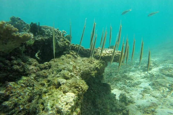 Amazing Snorkeling in Bali - The Full Itinerary Breakdown