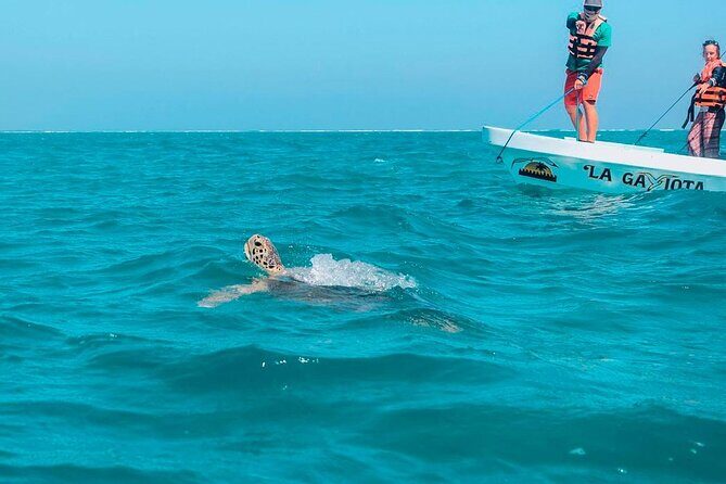 Amazing Tour in Sian Kaan biosphere with Transportation from Cancún! - Who Will Love This Tour?