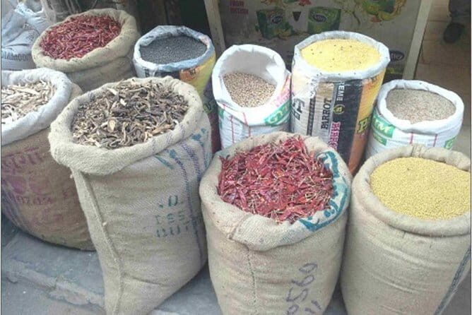Amritsar Village Excursion - Practical Details and What to Keep in Mind
