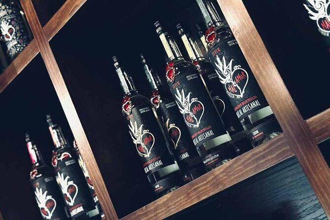 An adventure for the senses: Mezcal, fields and crafts. - The value and overall impression