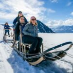Anchorage Area: Helicopter and Glacier Dogsled Tour - The Practicalities and Details