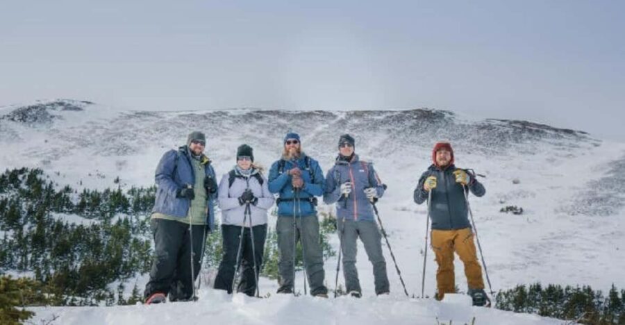 Anchorage: Heli Snowshoe Adventure - A Closer Look at the Experience
