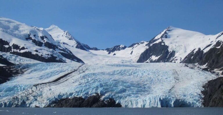 Anchorage: Portage Glacier and Wildlife Explorer Cruise - The Itinerary Breakdown