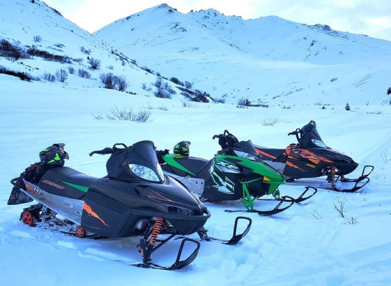 Anchorage: Snowmobile Adventure with Transportation - Who Will Love This Tour