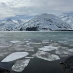 Anchorage: Turnagain Arm Scenic Winter Tour with a Guide - What to Expect and Practical Details