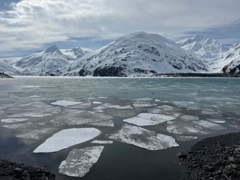 Anchorage: Turnagain Arm Scenic Winter Tour with a Guide - What to Expect and Practical Details