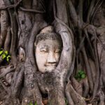 Ancient City Ayutthaya Private Guided Day Tour - Key Points