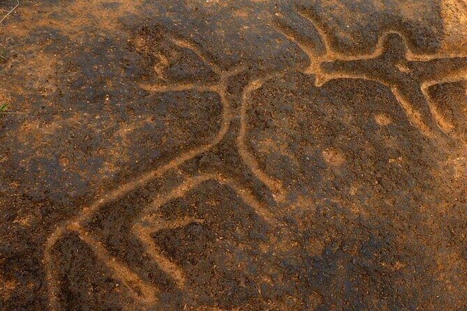 Ancient Goa tour with Archaeologist or Local guide - The Itinerary in Detail