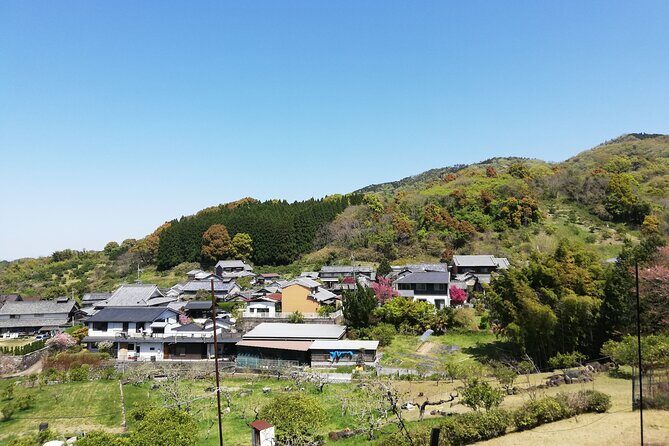 Ancient Nara Walking and Cycling Tour in Asuka - Values Beyond the Price Tag