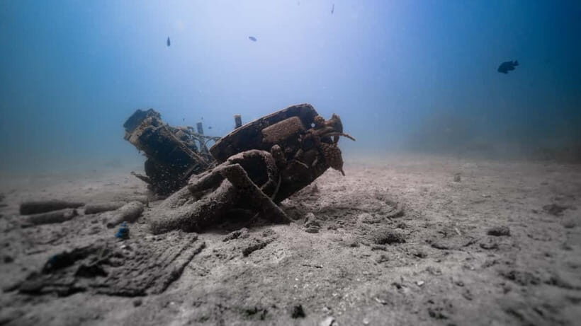 Andaman: Havelock Scuba Diving by PADI 5-Star Dive Center - Authentic Experiences & User Perspectives