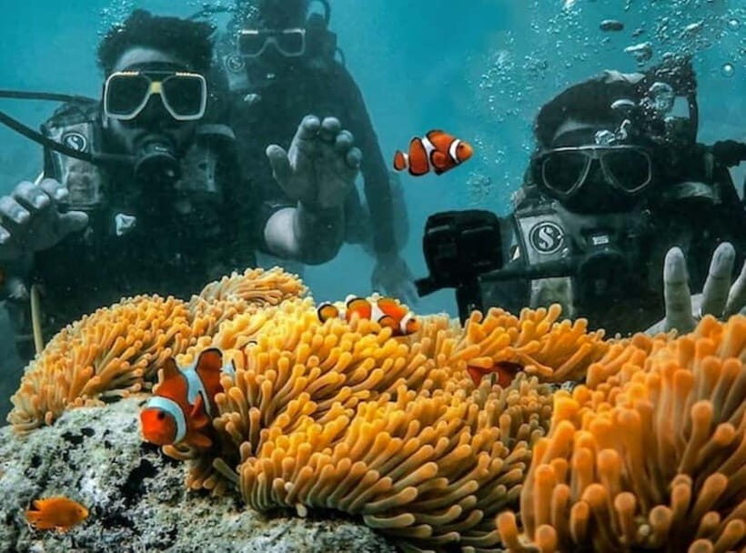 Andaman Islands: Scuba Diving Tour - The Dive Experience in Detail