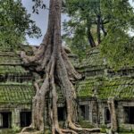 Angkor Wat, Angkor Thom & Elephant Terrace Half-Day Tours - What to Expect: Detailed Breakdown of the Itinerary