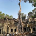 Angkor Wat Small Circuit Tour - The Experience in Detail: What You Can Expect