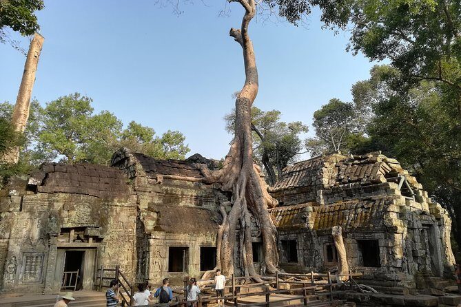 Angkor Wat Small Circuit Tour - The Experience in Detail: What You Can Expect
