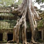 Angkor Wat Sunrise & Small Circuit Tour - The Value of the Tour